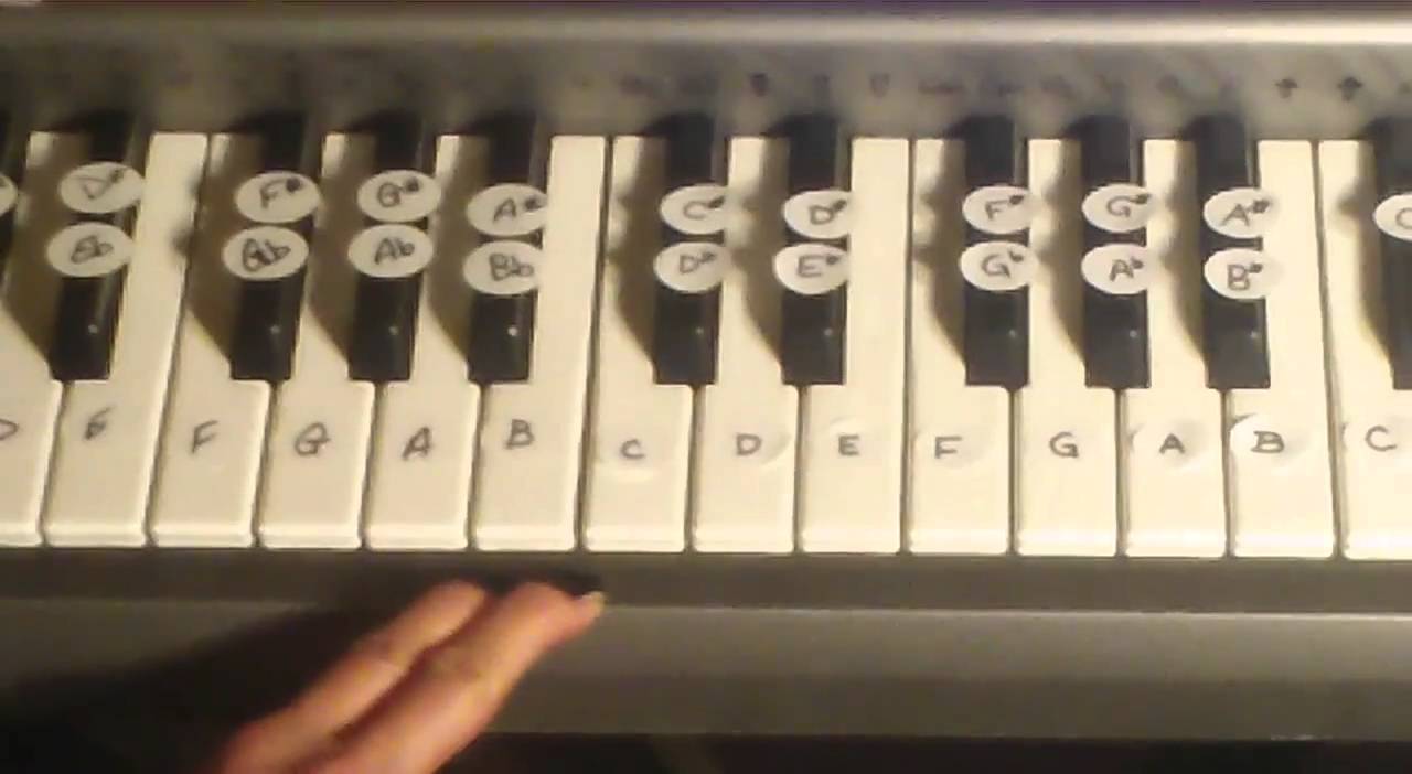 #6 ABSOLUTE BEGINNER MUSIC THEORY: APPLY PREVIOUS LESSONSTO THE KEY OF ...