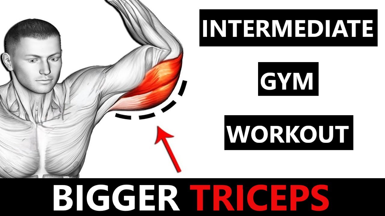 INTERMEDIATE TRICEPS WORKOUT MUSCLE BUILDING WORKOUT CABLE TRICEP ...