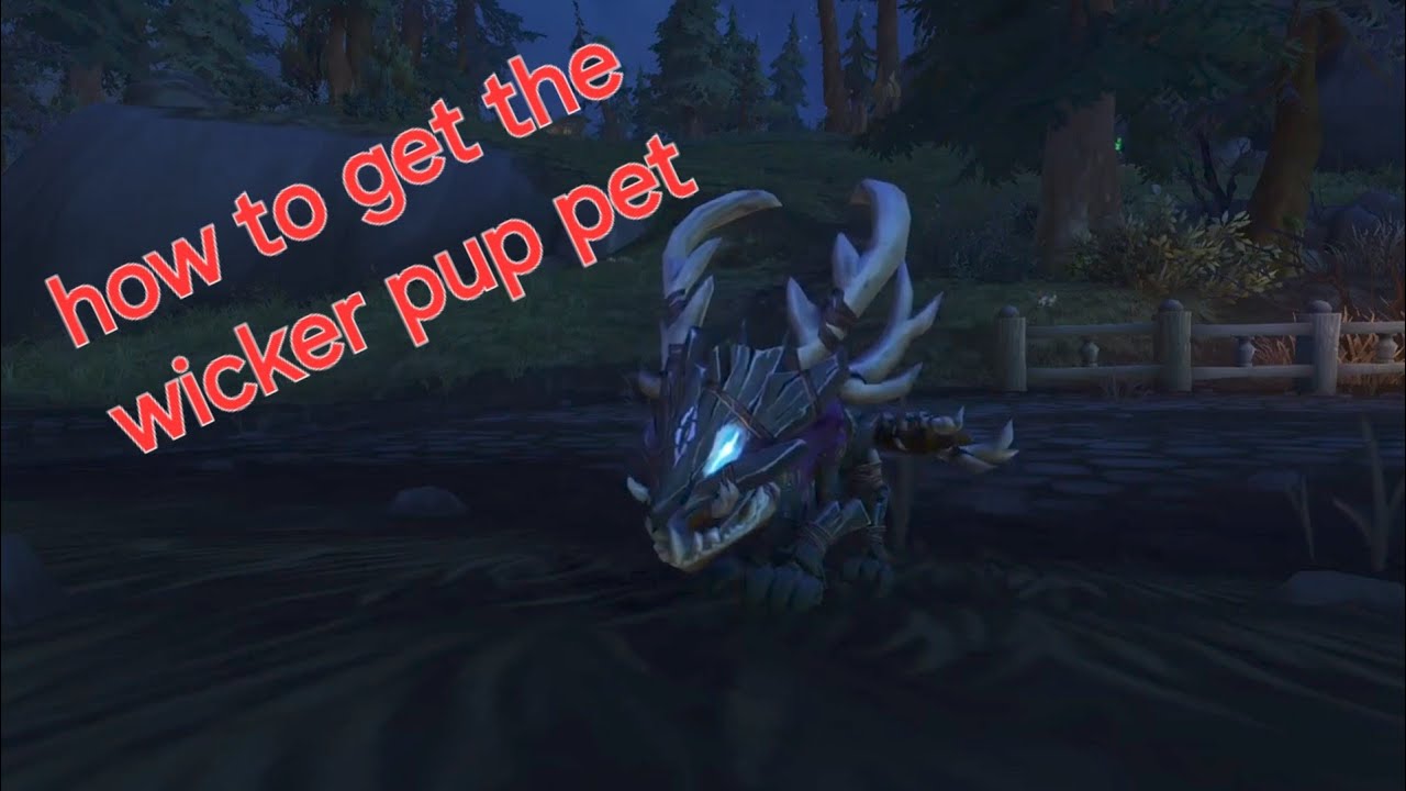 wow how to get wicker pup battle pet - YouTube