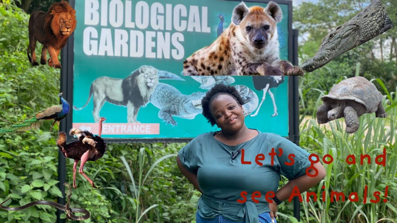 A visit to the Zoo at Obafemi Awolowo University|| Is it worth it ...