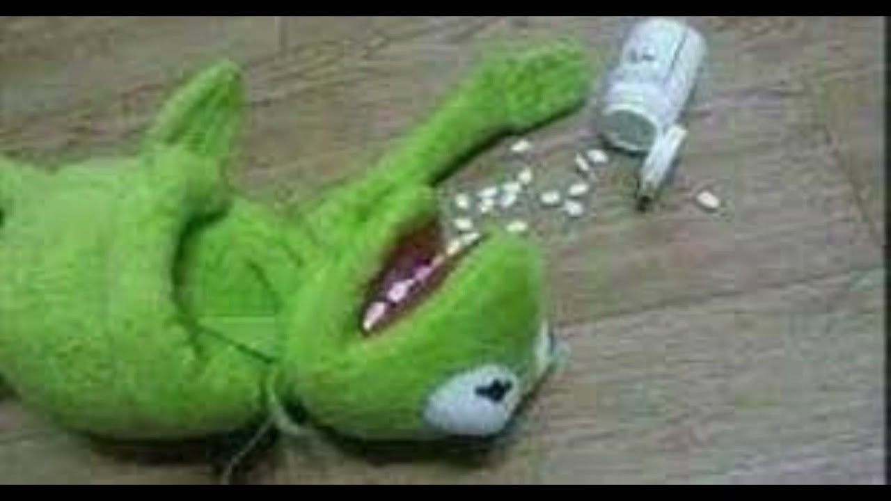 Kermit is dead - YouTube