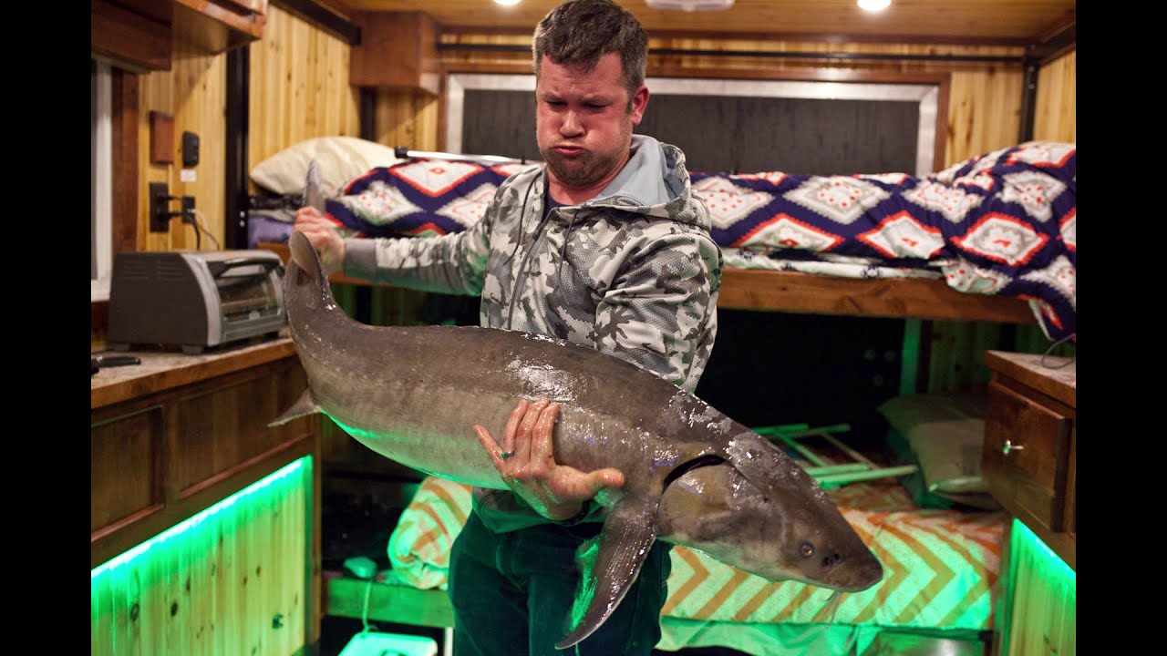 Giant 60 Inch Sturgeon Ice Fishing - St. Croix River - YouTube