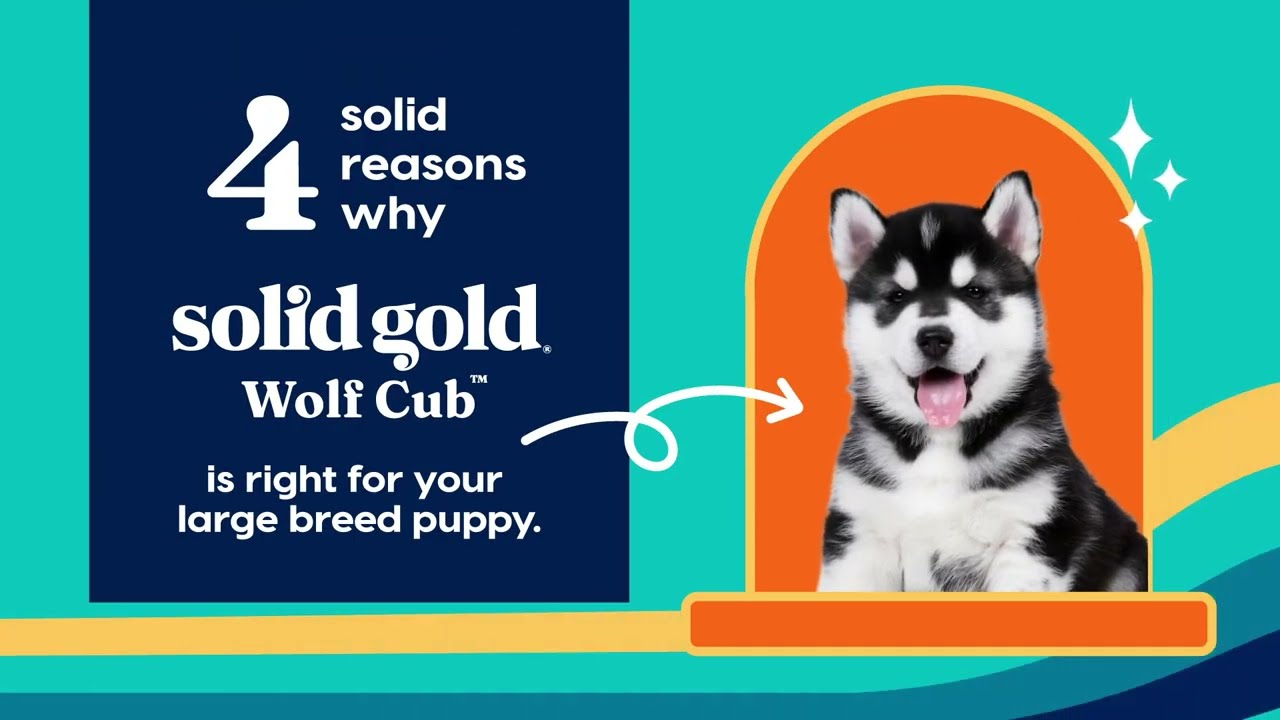 Solid Gold: 4 Solid Reasons Why Wolf Cub Is Right For Your Large Breed ...