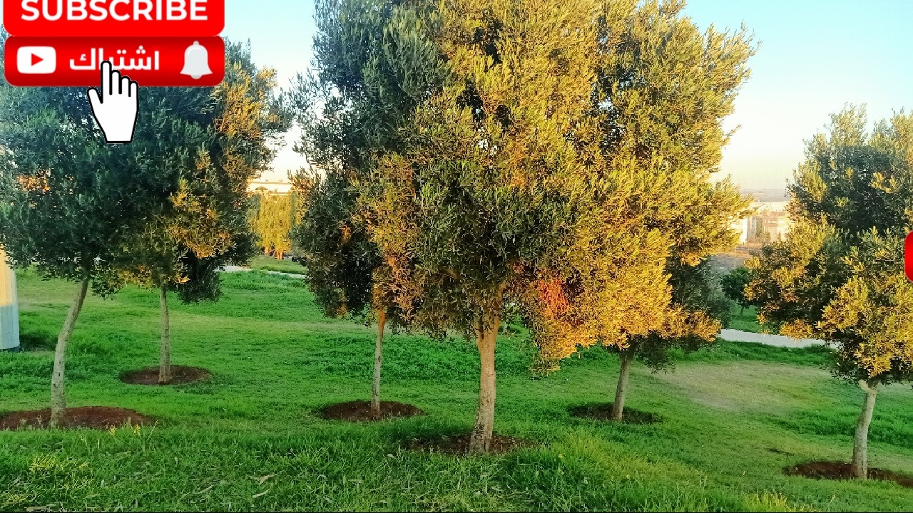 جولة ممتعة في حديقة ومنتزه مدينة تامسنا المغربTamesna Park, Morocco ...