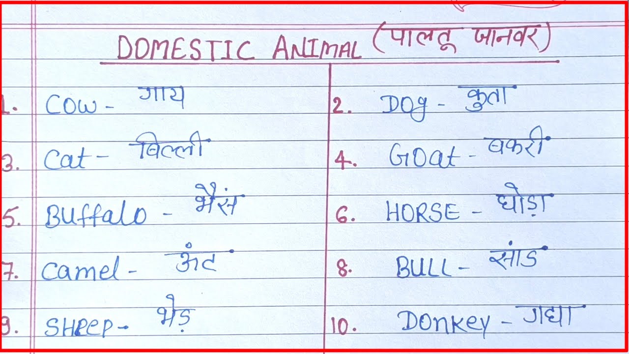 Domestic animals name (पालतू जानवरों के नाम) /paltu janwar ke naam ...