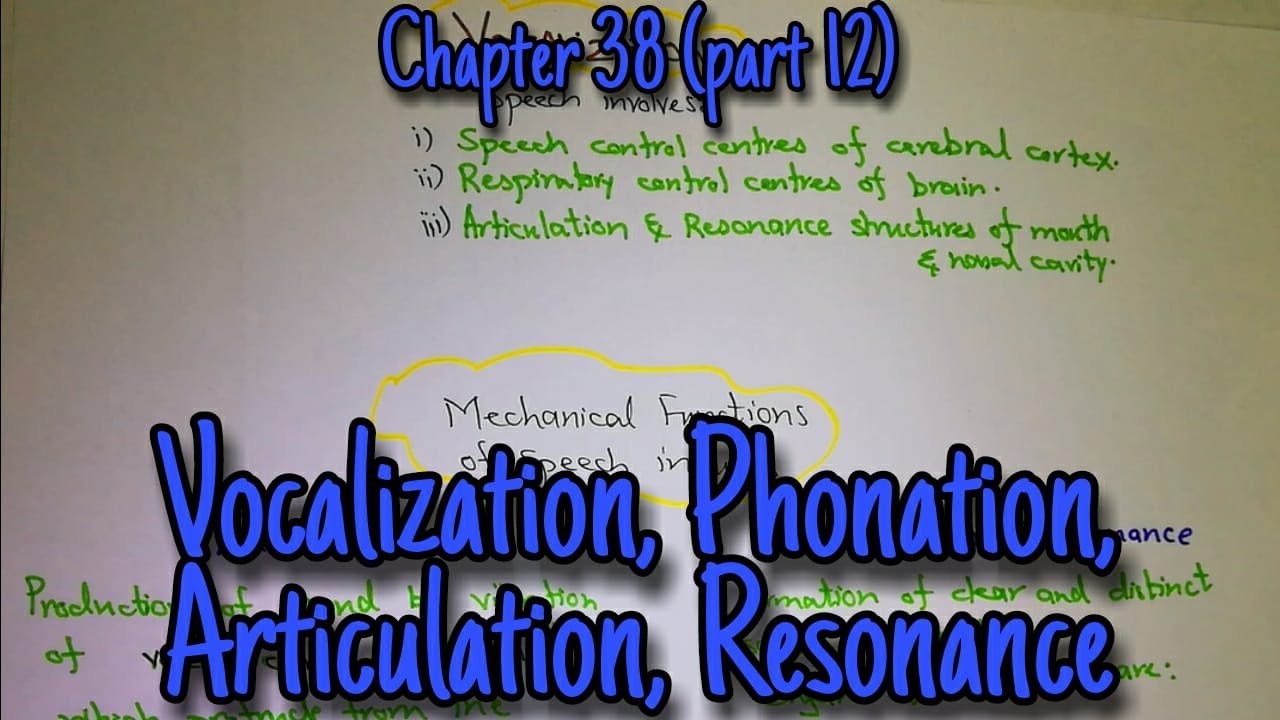 Vocalization, phonation, articulation, resonance. Chapter 38 (part 12 ...