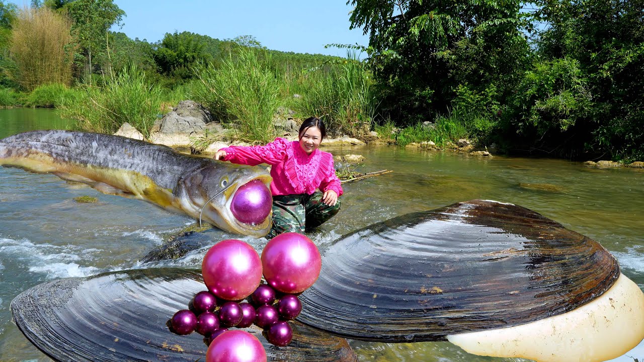 😱😱unbelievable! Greedy giant catfish steals the enchanting pearls ...