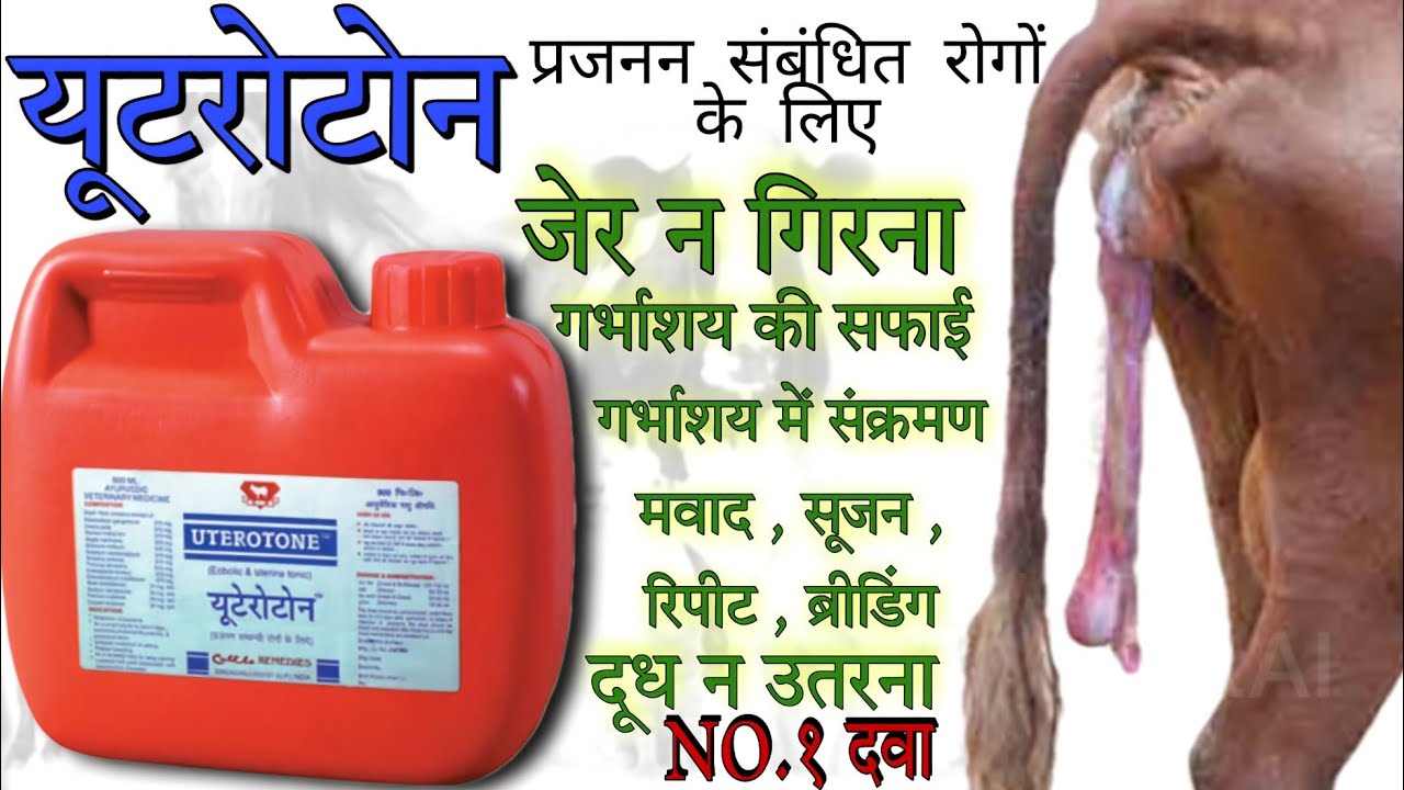 Pashu ka Zer Girane ka Syrup | Uterotone syrup ke fayde | composition ...