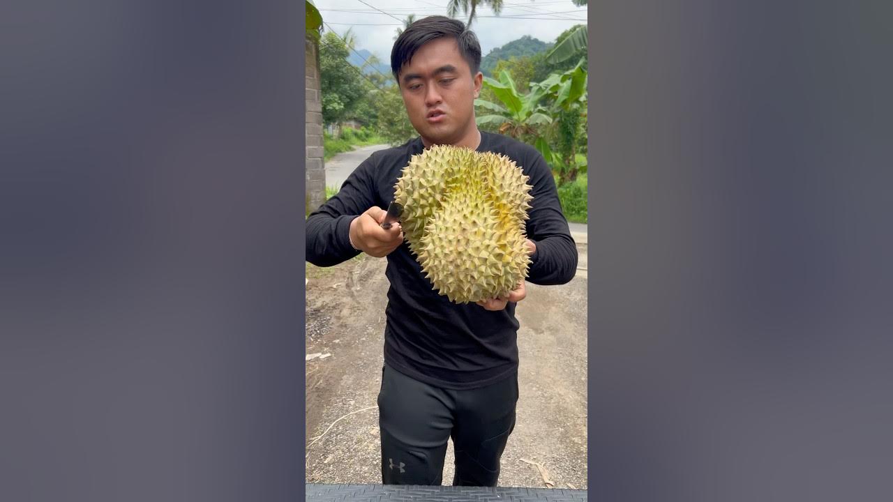 Durian montong besar #doniartawan - YouTube