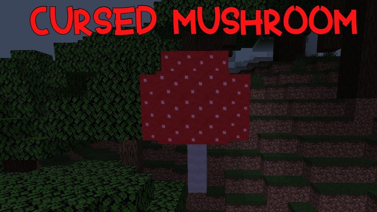Minecraft creepypasta: CURSED MUSHROOM - YouTube