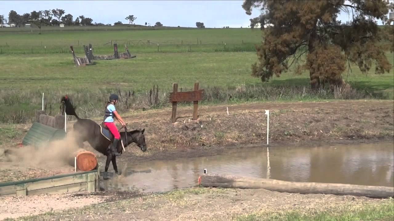 Edgecote Onyx - YouTube