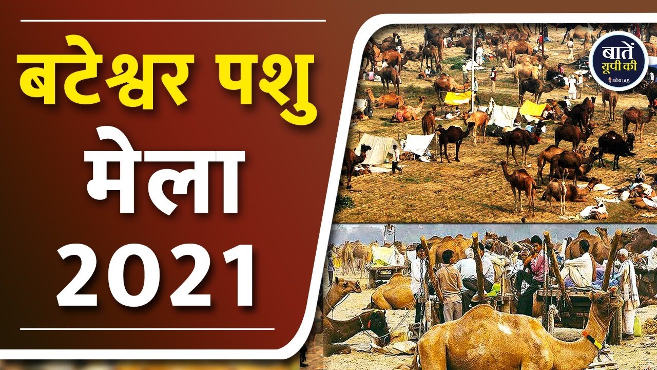 बटेश्वर पशु मेला 2021 | Bateshwar Cattle Fair 2021 | Uttar Pradesh ...