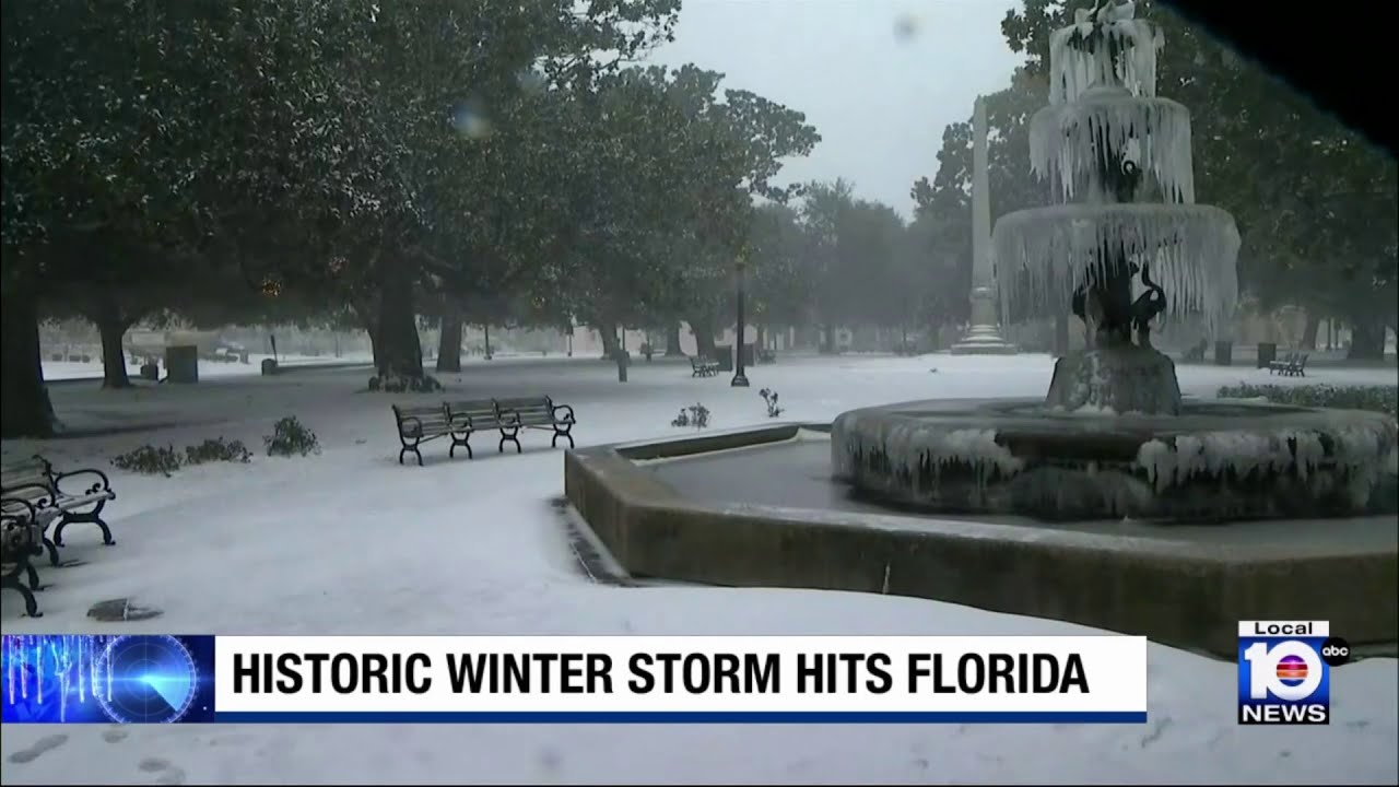 Parts of Florida see snow as sudden cold snap sweeps across state - YouTube
