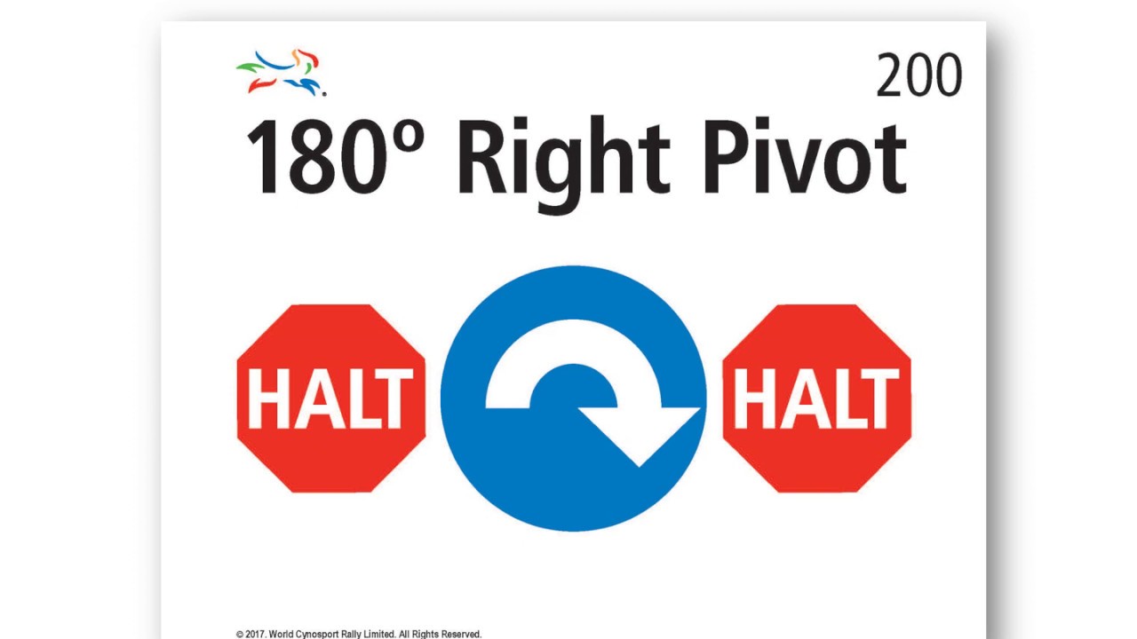 200 Halt, 180 Right Pivot, Halt (with scoring) - YouTube