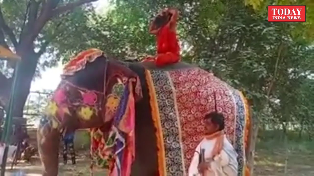 Hathi Par Chadkar Yoga Kar Rahe Baba Ram Dev Yoga Karte Gir Pade Video ...