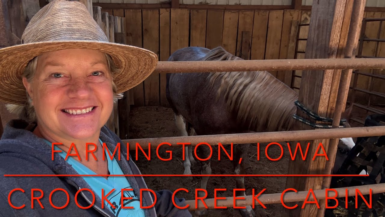 Cabin Near Shimek State Forest, Farmington, Iowa, Crooked Creek Horse ...