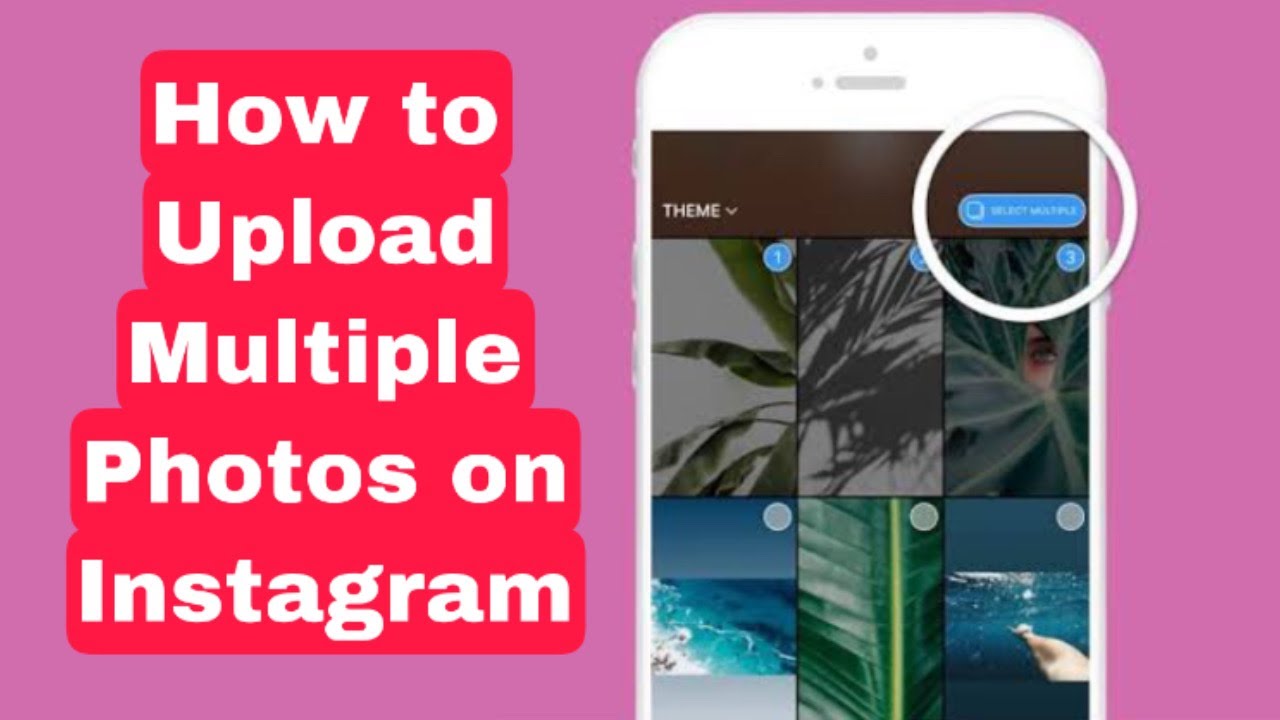 How To Upload Multiple Photos On Instagram How To Upload Multiple how-to-upload-multiple-photos-on-instagram-how-to-upload-multiple
