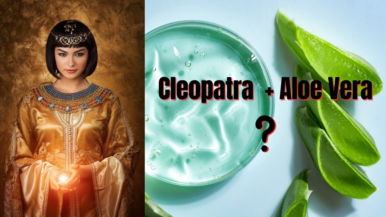 Cleopatra + Aloe Vera? #10amazingfactsabouteverything #10amazingfacts # ...