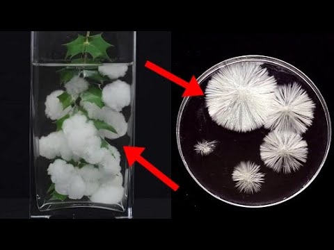 How to make Hot Ice at home - So Beautiful ICE - YouTube