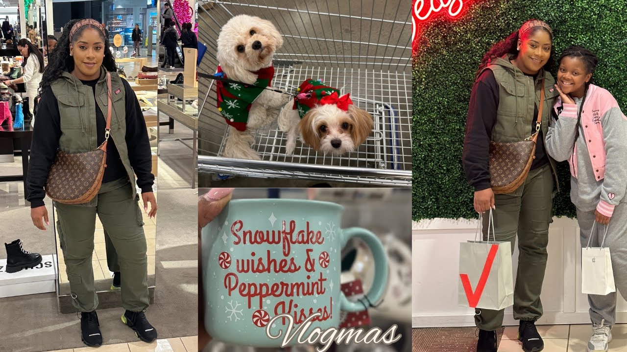 Vlogmas: Who Keeps Farting? | Boujee Dogs | Let's Go To The Mall - YouTube