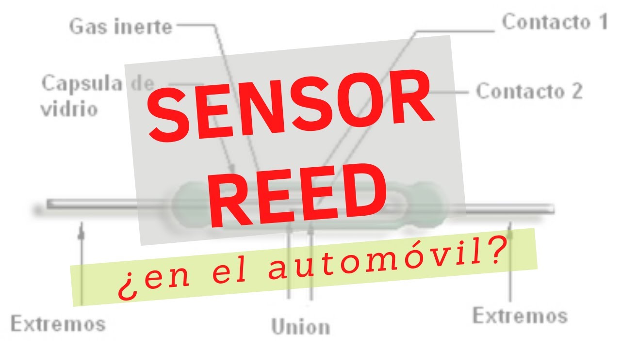 SENSOR o switch REED 🧲🧲en el automóvil [APLICACIONES y DIAGNOSIS] - YouTube