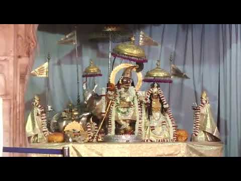 govind dev ji live darshan today - YouTube