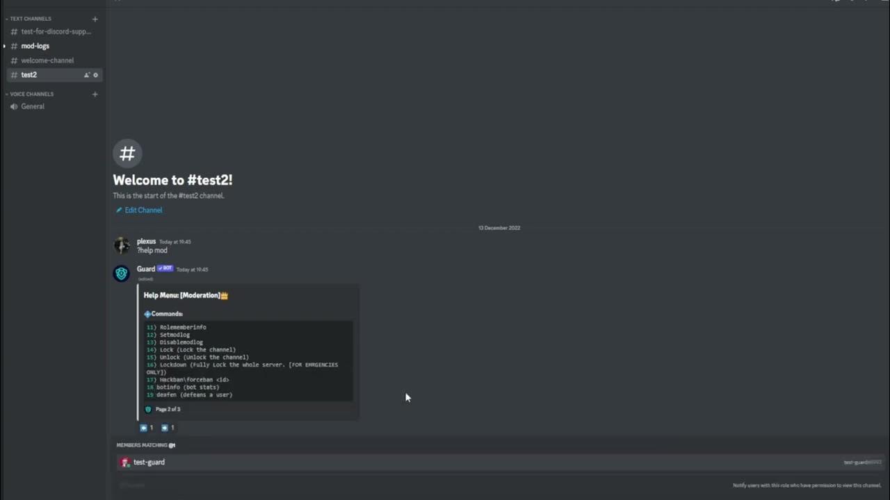 mod logs for discord - presence intent - YouTube