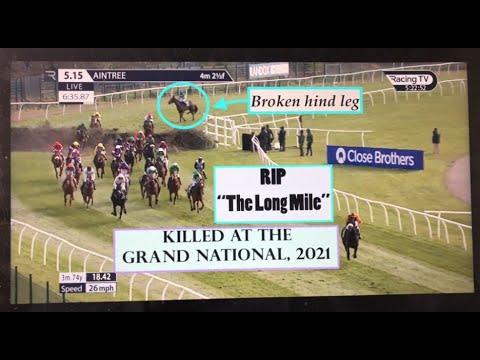 Death race of THE LONG MILE. Grand National, 2021 - YouTube