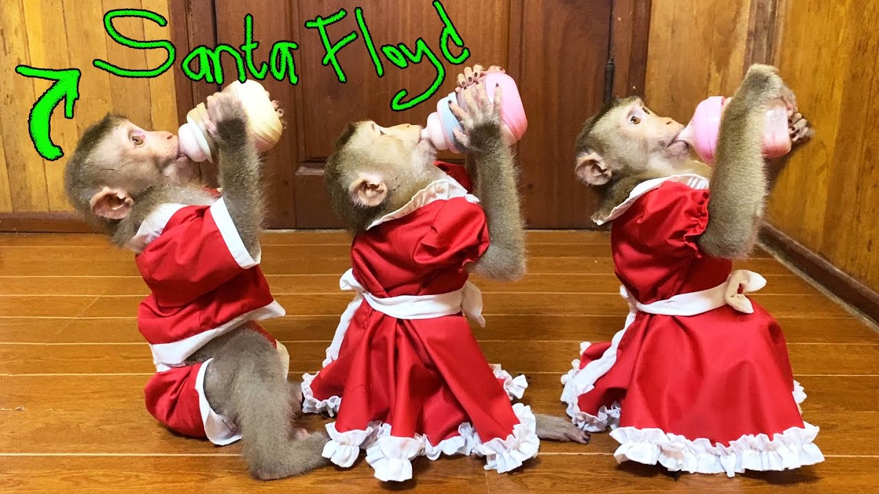 Santa Flloyd With His Sisters 0rderly Sit In Line For Breakfast - YouTube