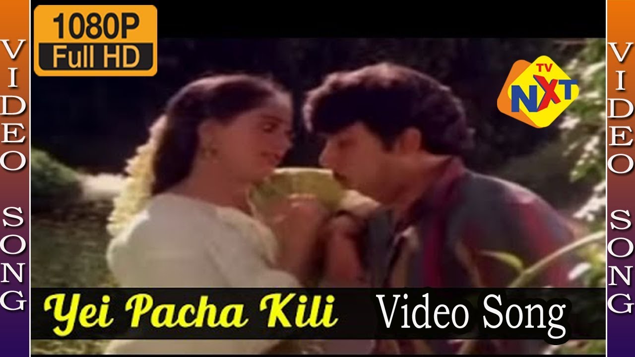 Yei Pacha Kili Video Song |Aalappirandhavan Tamil Movie Songs |Satyaraj | Radha |Ambika | Vega ...