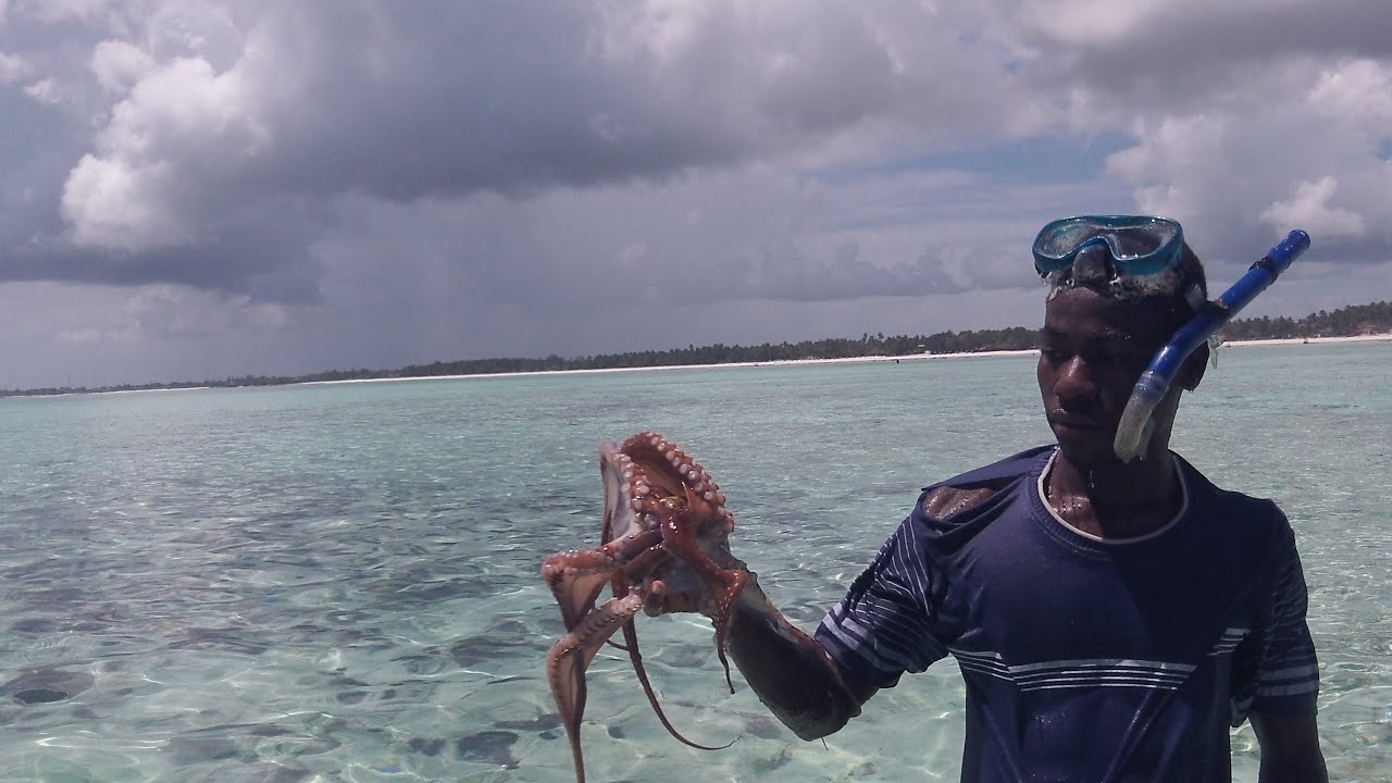 Hunting for octopus on Zanzibar - YouTube
