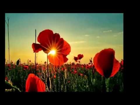 MENİM RUHUM BU TORPAĞA BAĞLIDIR   Şiir  SONA İSMAYİLOVA  Yorum SELAMİ TIRAŞLAR