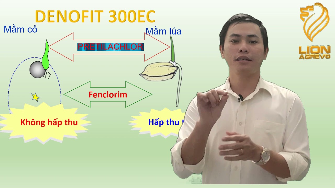 QUẢN LÝ LÚA CỎ BẰNG DENOFIT 300EC - YouTube