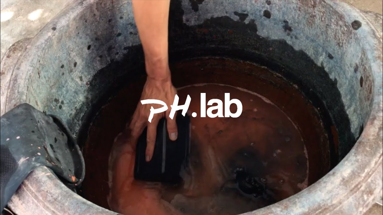 pH.lab Indigo Fermentation | Season 1 Episode 1 - YouTube