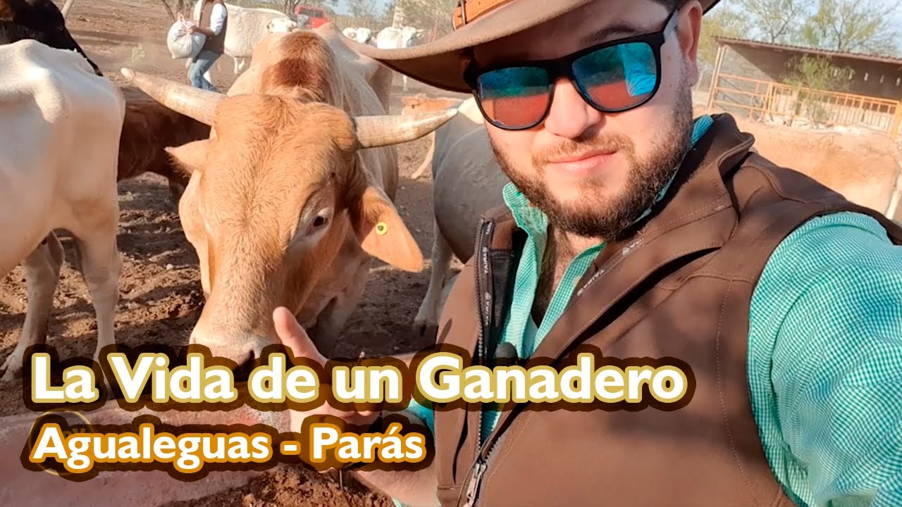La Vida de un Ganadero - Agualeguas | Nuevo León - YouTube