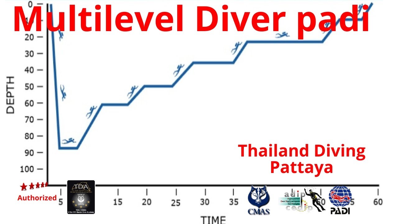 🤿 SPECIALTIES #Multilevel #Diver continuous diving padi, surface ...