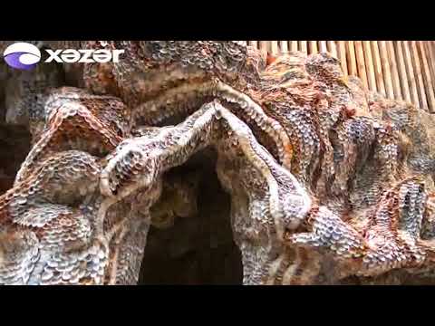 Lerik sakini heykəl və fiqurları bəzəyərək fərqli dizayn verir