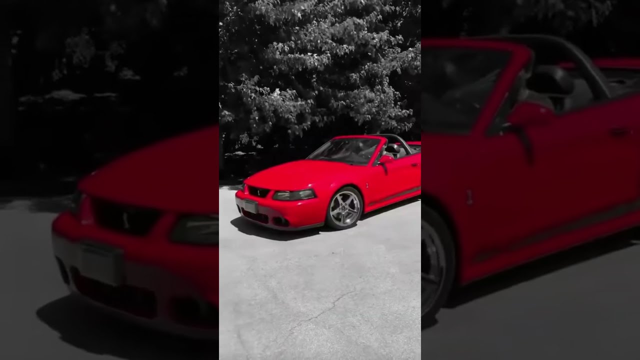 TERMINATOR Cobra being driven like a ‘ROCKSTAR’🤩 - YouTube