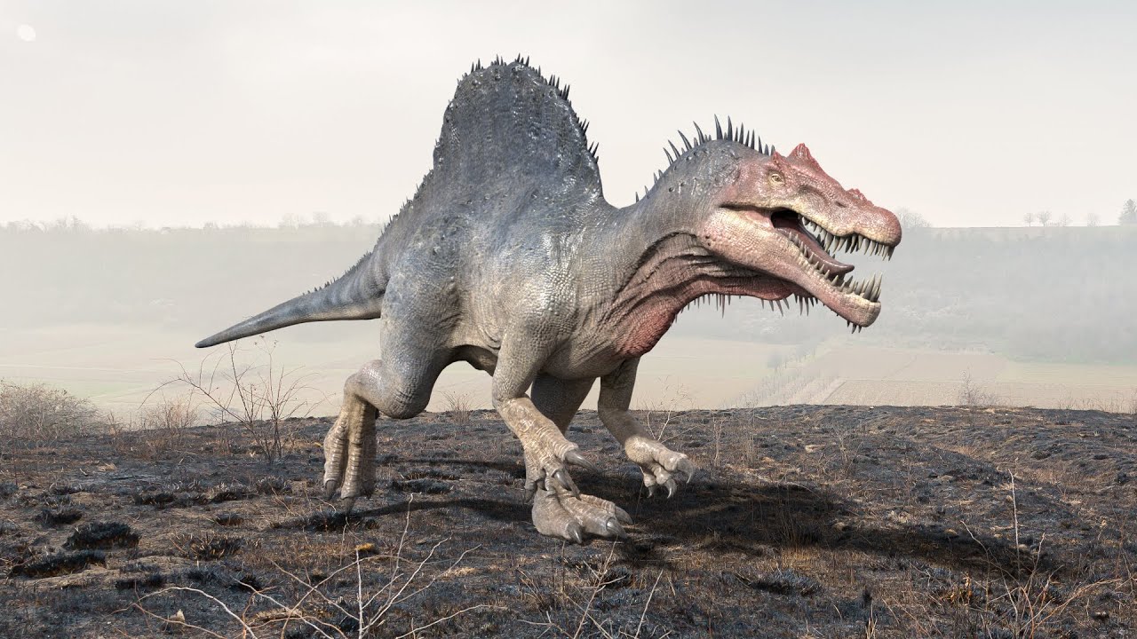 Spinosaurus Running and Walk Cycle [Animation in Maya] - YouTube