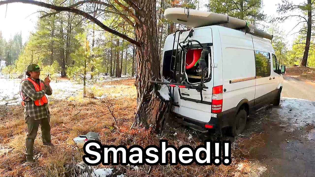 Sprinter Van Attacked By A Tree!! - YouTube