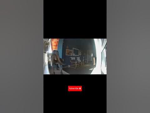 DOG CAUGHT ON CAMERA || STEALING SCREWDRIVER #dog #shorts #viral - YouTube