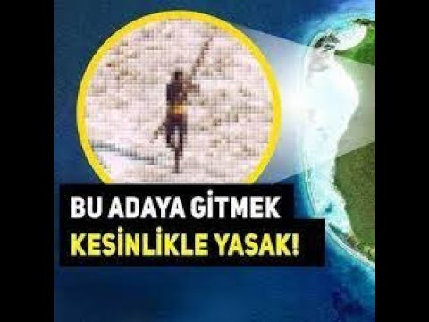 BU ADADA NELER OLUYOR ? KUZEY SENTİNEL ADASI