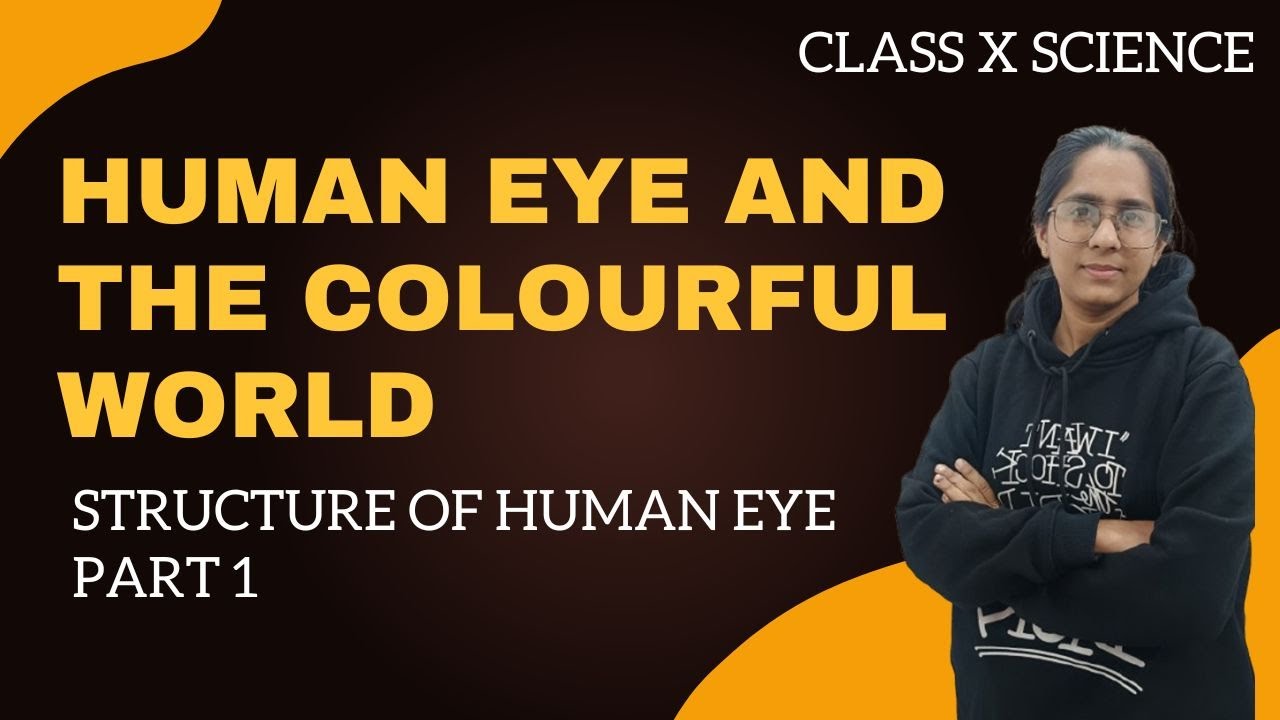 Human Eye and Colourful World 🔥Class X |Part 1 Structure of Eye ...