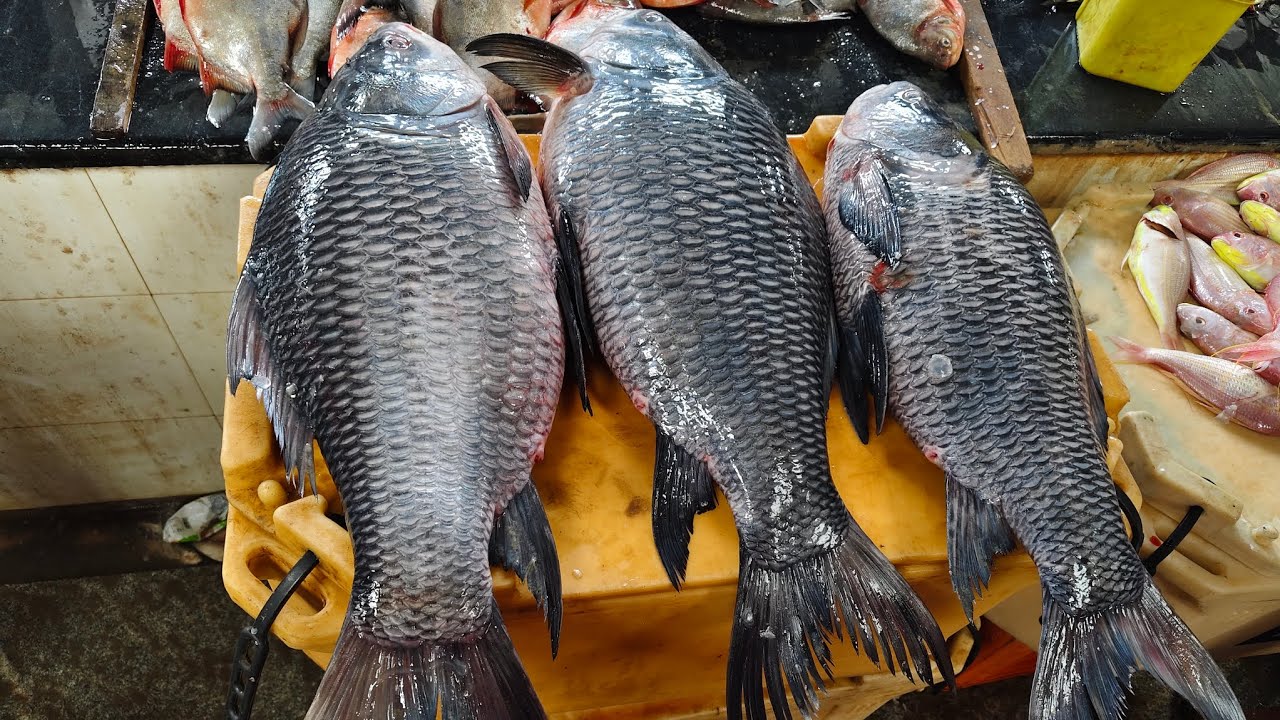 The Chennai Fish market - YouTube