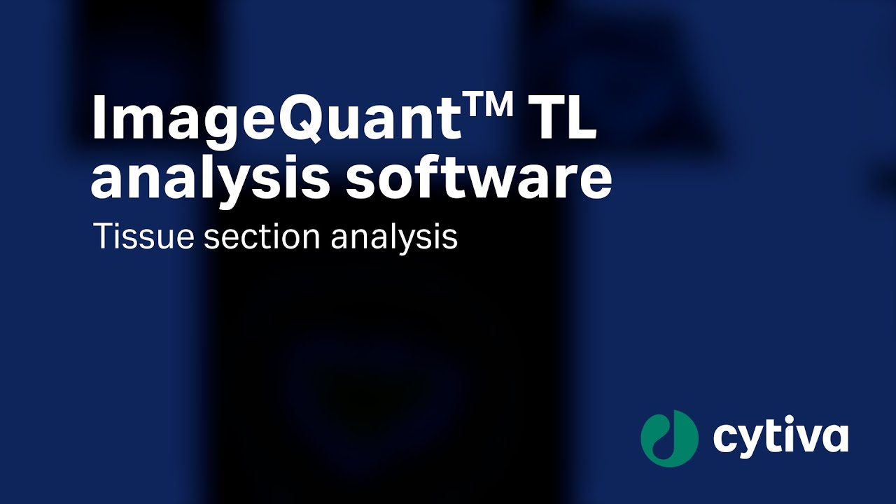 ImageQuant™ TL analysis software - Tissue section analysis - YouTube