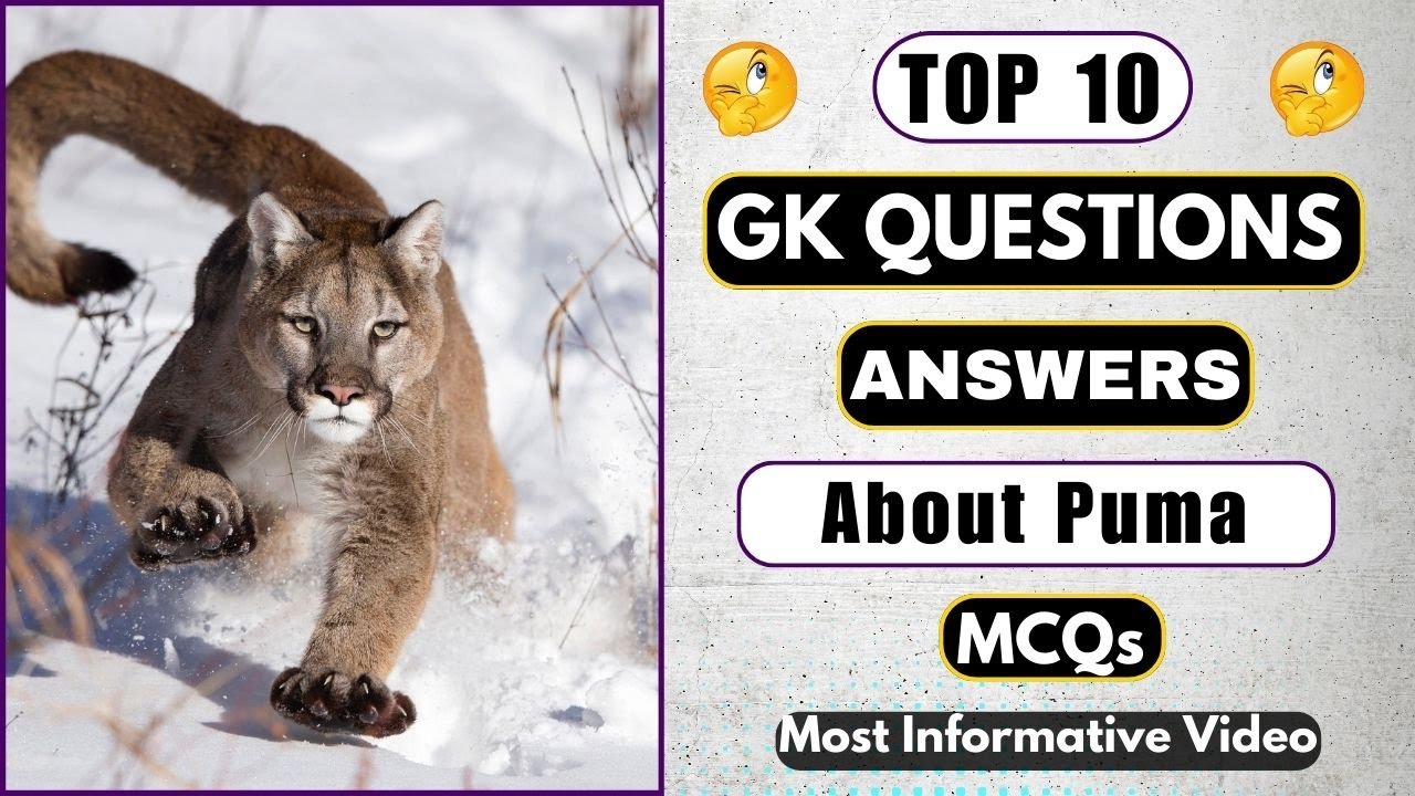 10 Gk Mcqs Quiz Questions About Puma In English | Questions And Answers ...