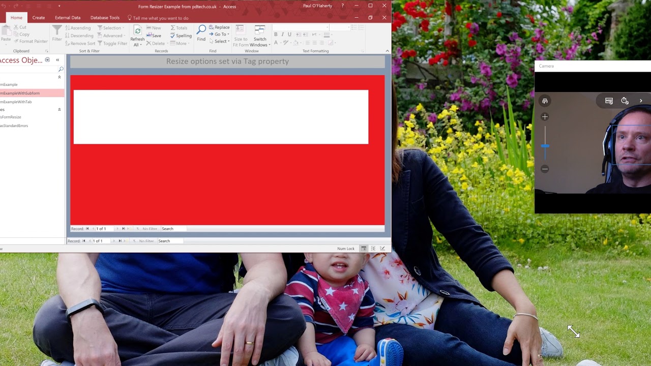 MS Access Form Resizer: Free code to make your form designs more ...