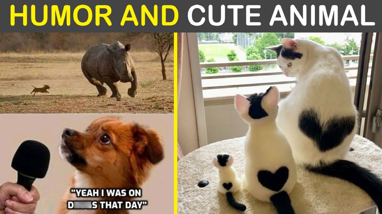 Humor And Cute Animal Photos That Might Make Your Day Better | Humor ...