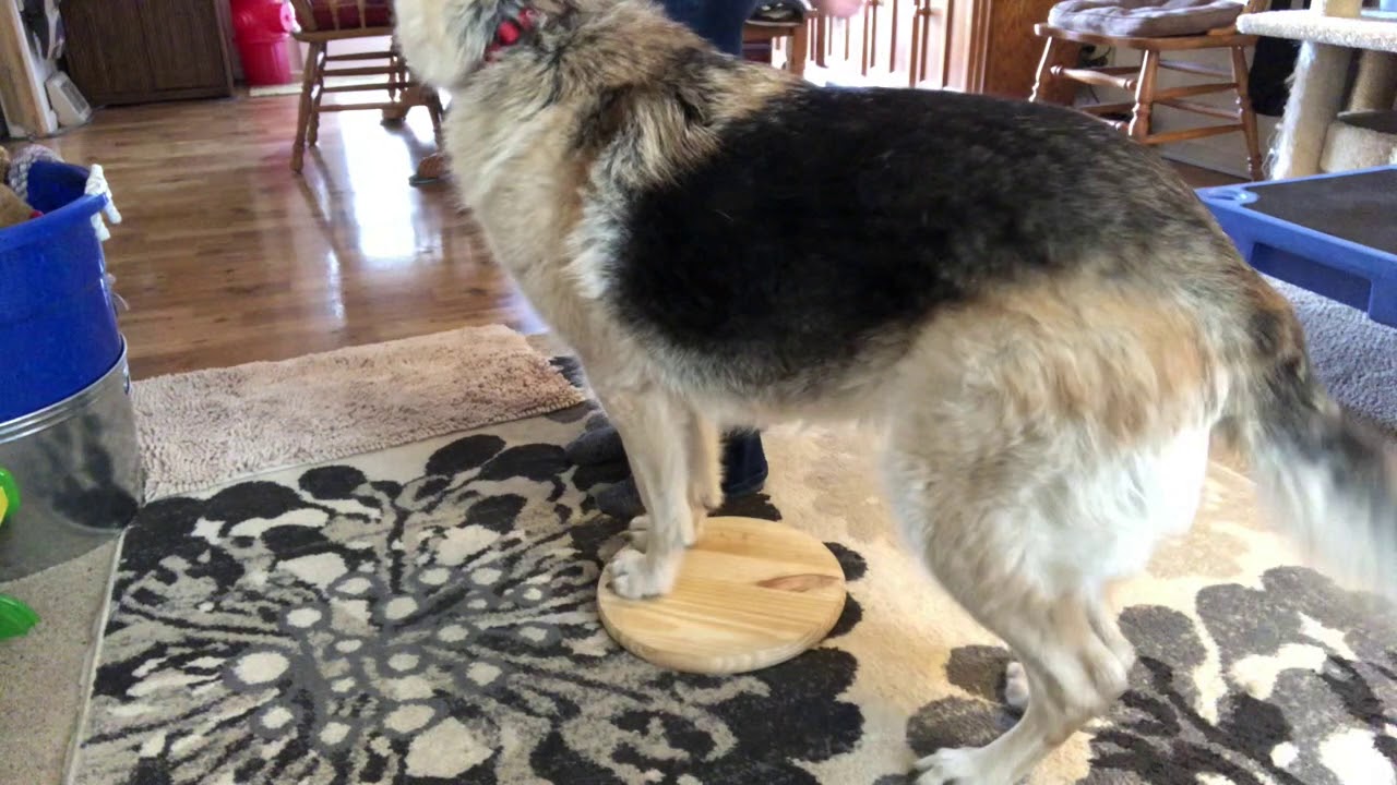 PERCH WORK AKA SIDE STEP DRILL - YouTube