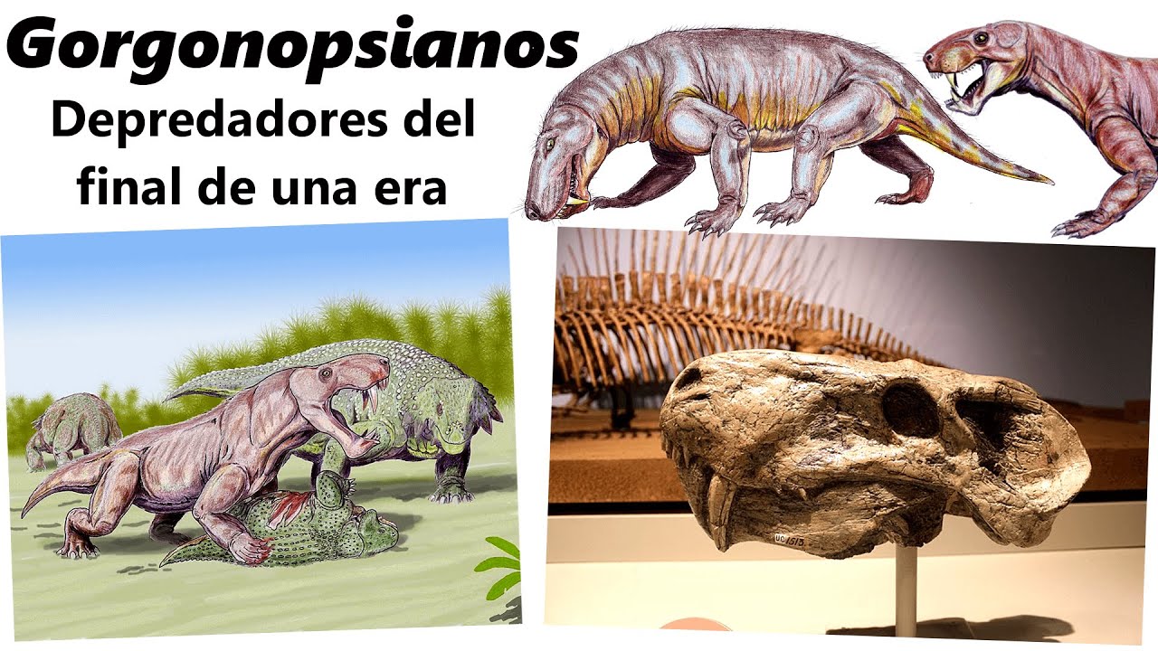 Gorgonopsianos. Descubre a las bestias con colmillos del final del ...